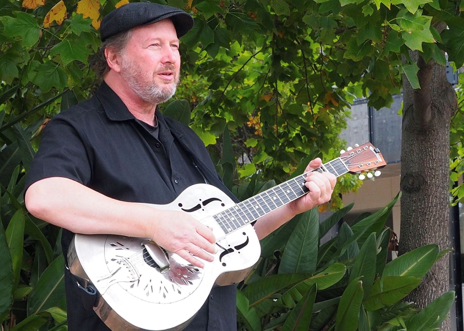 The Musicians - Peninsula Beer Garden